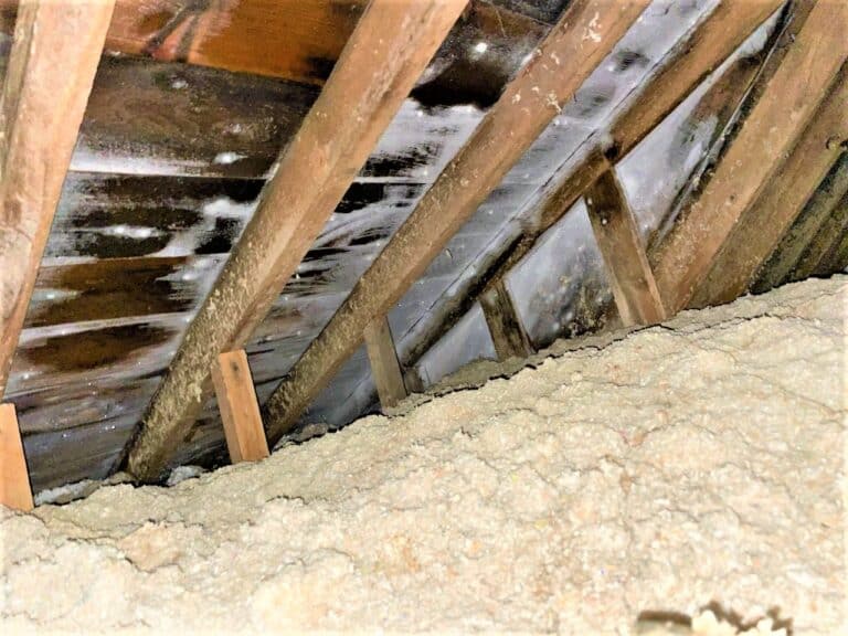 Troubleshooting Ice Dams & Window Condensation | Lindus