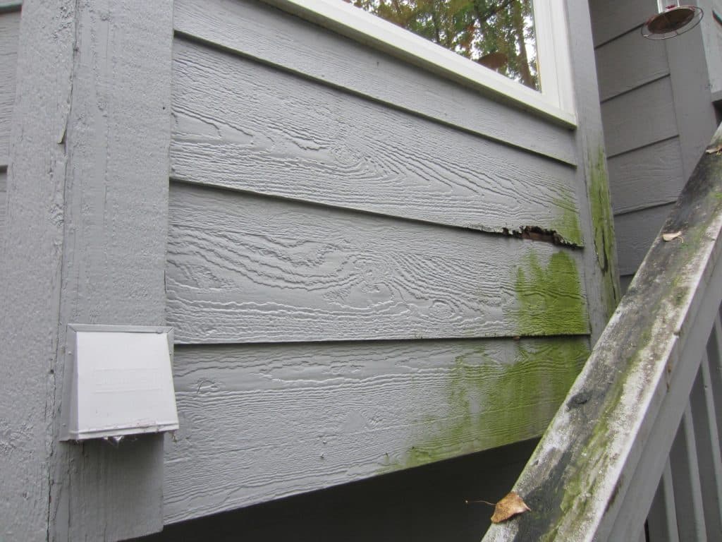 You Should Never Ignore These Common Siding Issues | Lindus