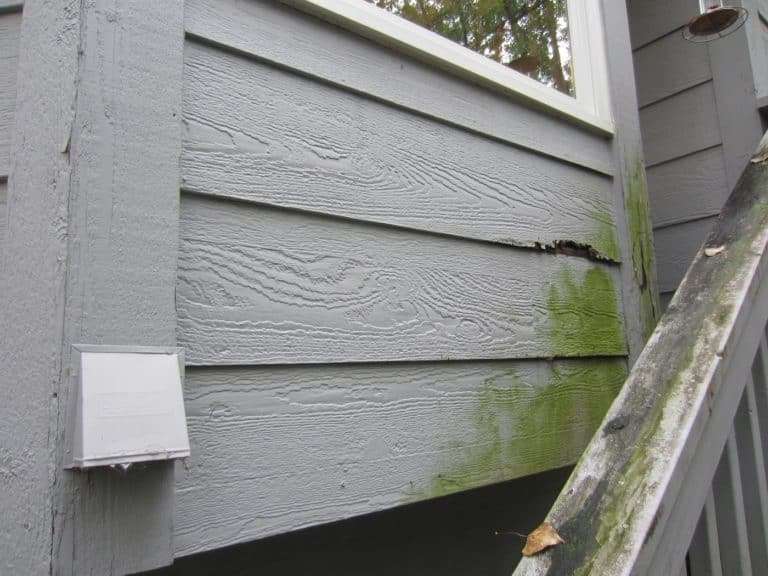 You Should Never Ignore These Common Siding Issues | Lindus