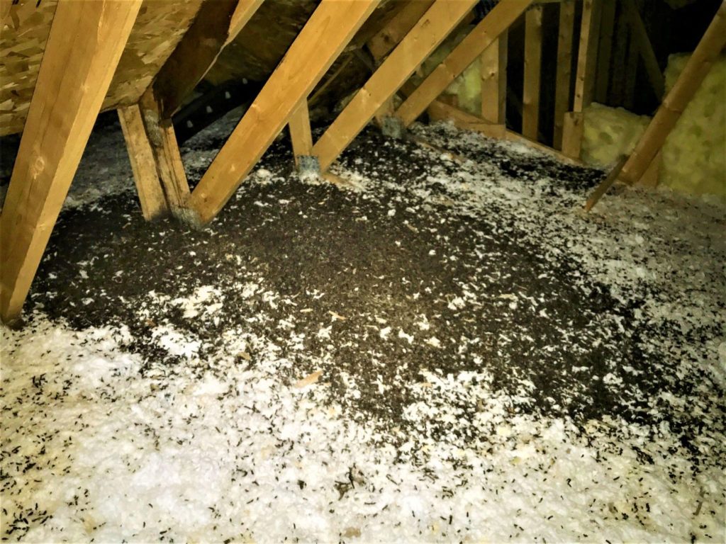 How Your Attic Impacts Your Home’s Air Quality | Lindus Construction