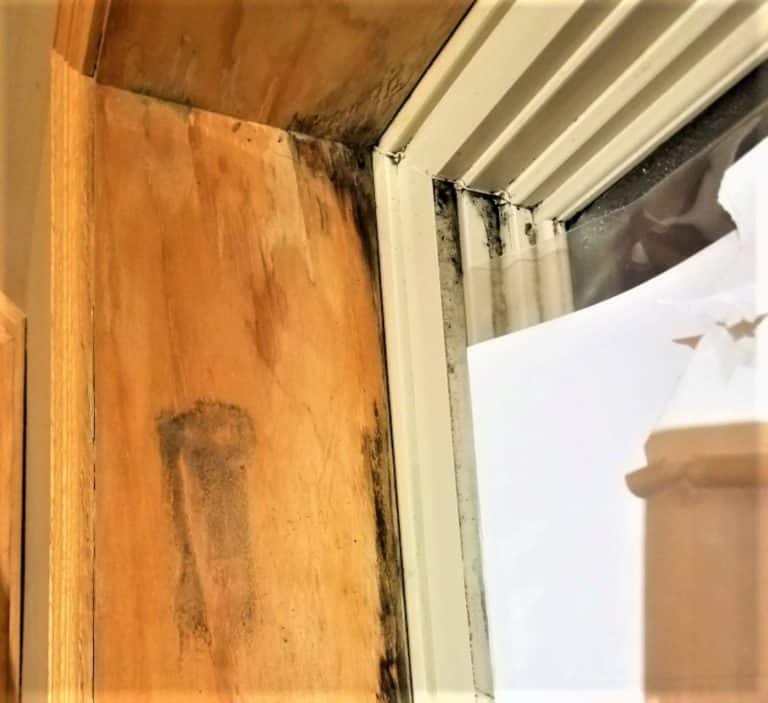 How Wood Rot Can Ruin Your Windows | Window Rot | Lindus