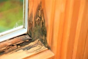 The Hazards of Putting Off Home Window Replacement - Lindus Construction
