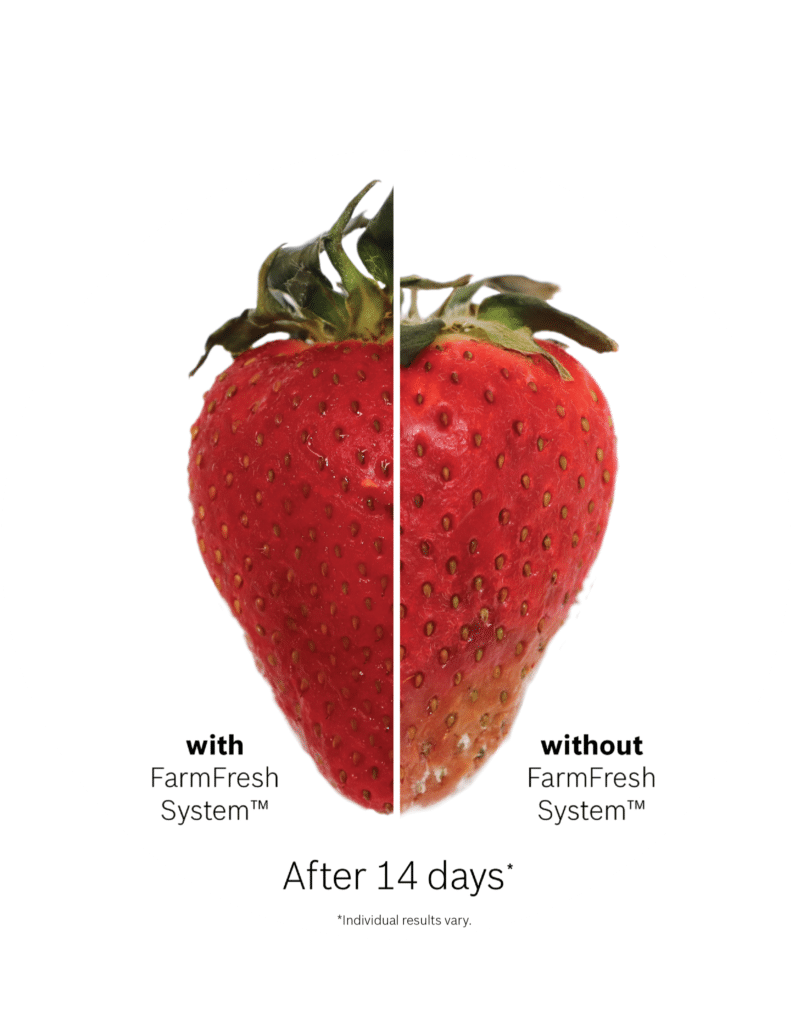 The Best Appliances for a Healthier Lifestyle | Lindus Construction